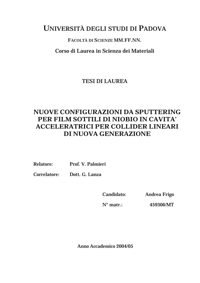 Tesi Andrea Frigo | PDF