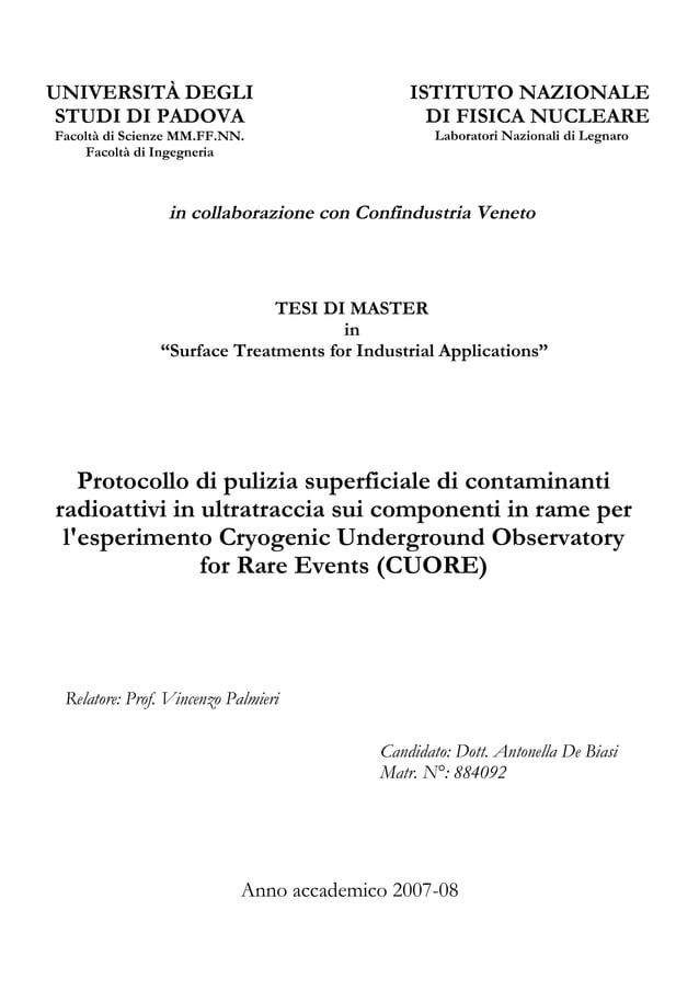 Tesi master Antonella Debiasi | PDF