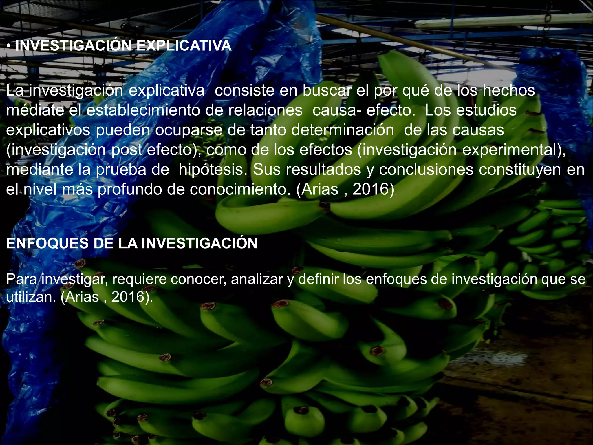 Análisis del proceso de banano en el área de producción de la ...