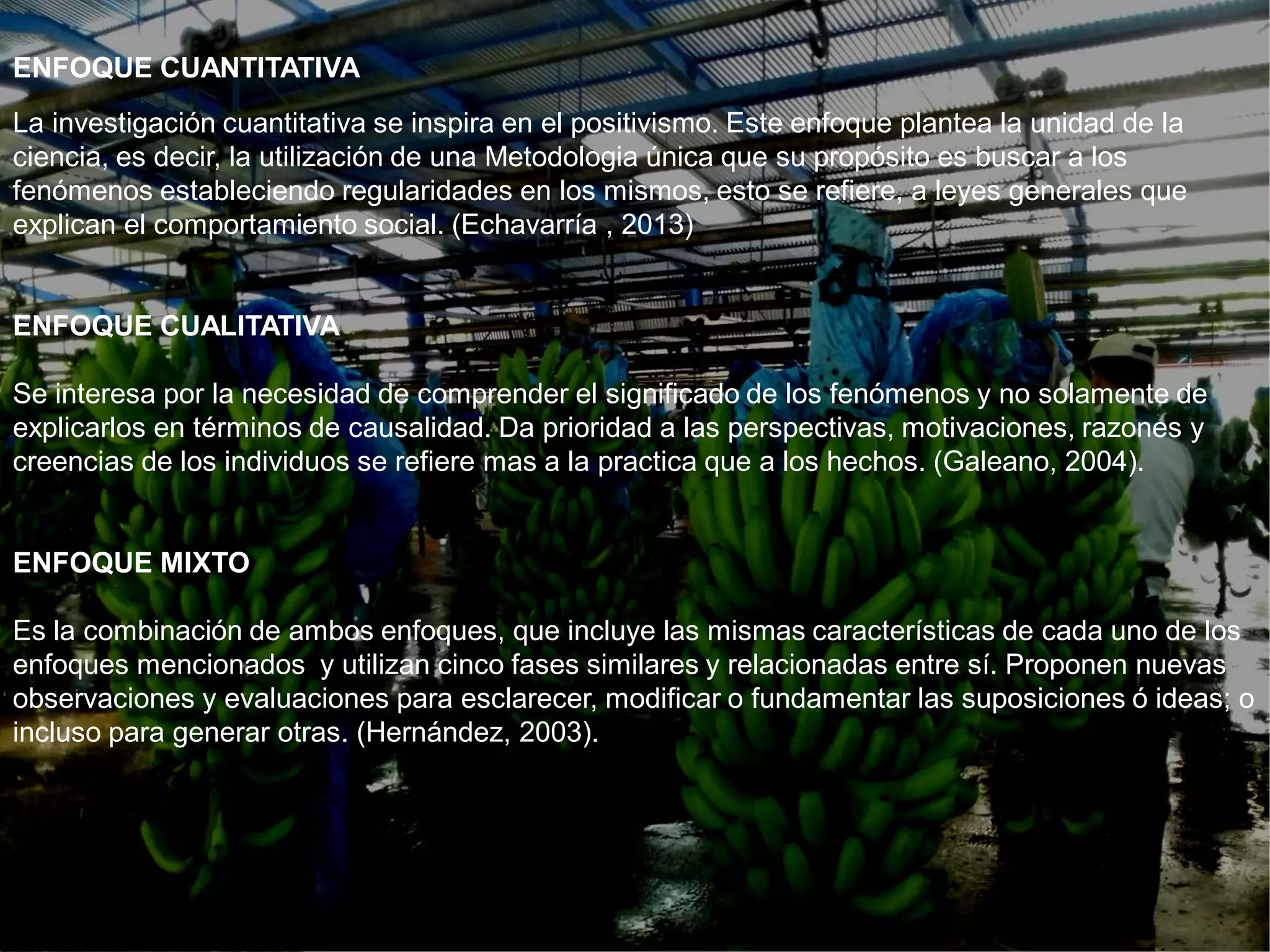Análisis del proceso de banano en el área de producción de la ...