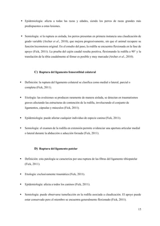 ECOGRAFIA DE LA RODILLA DEL PERRO | PDF