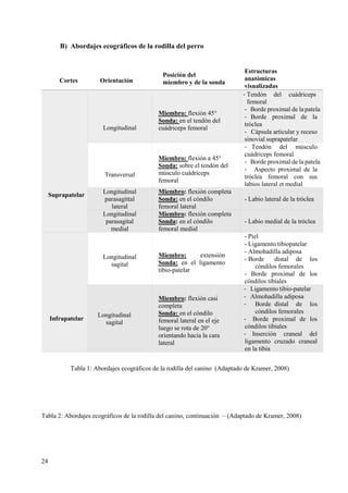 ECOGRAFIA DE LA RODILLA DEL PERRO | PDF
