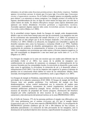 Situación actual del mangle en Honduras. | PDF