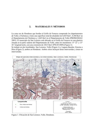 Situación actual del mangle en Honduras. | PDF