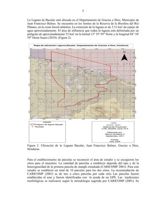 Situación actual del mangle en Honduras. | PDF