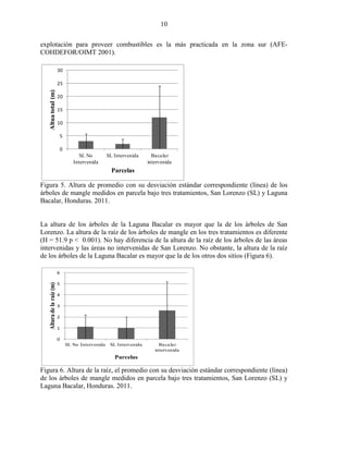 Situación actual del mangle en Honduras. | PDF