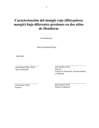 Situación actual del mangle en Honduras. | PDF
