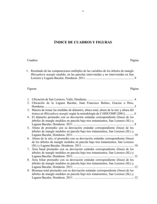 Situación actual del mangle en Honduras. | PDF