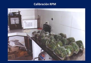 Rising Plate Meter - Tesis presentacion | PDF