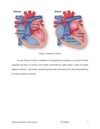 Modelo Matemático del Corazón | DOCX