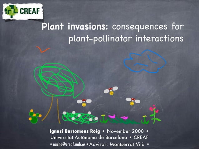 Plant-pollination networks and plant invasions | PDF