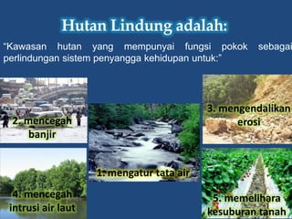 Pemodelan Penentuan Hutan Lindung (HL) dengan Metode Pembobotan ...