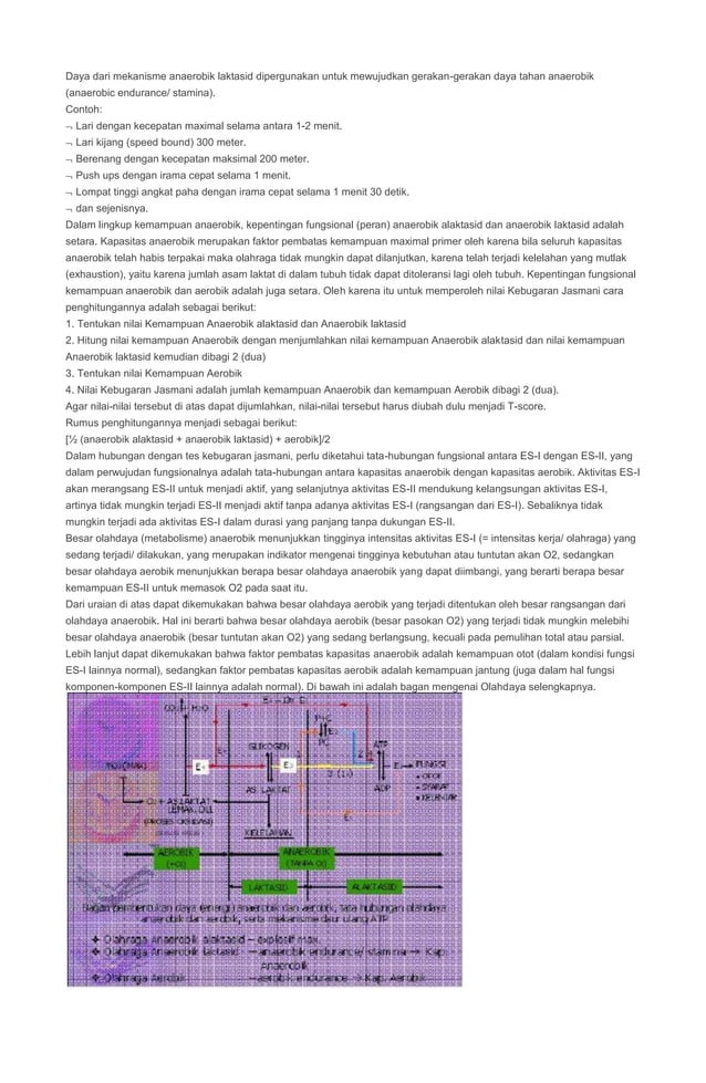 Tes kesegaran jasmani indonesia | DOCX