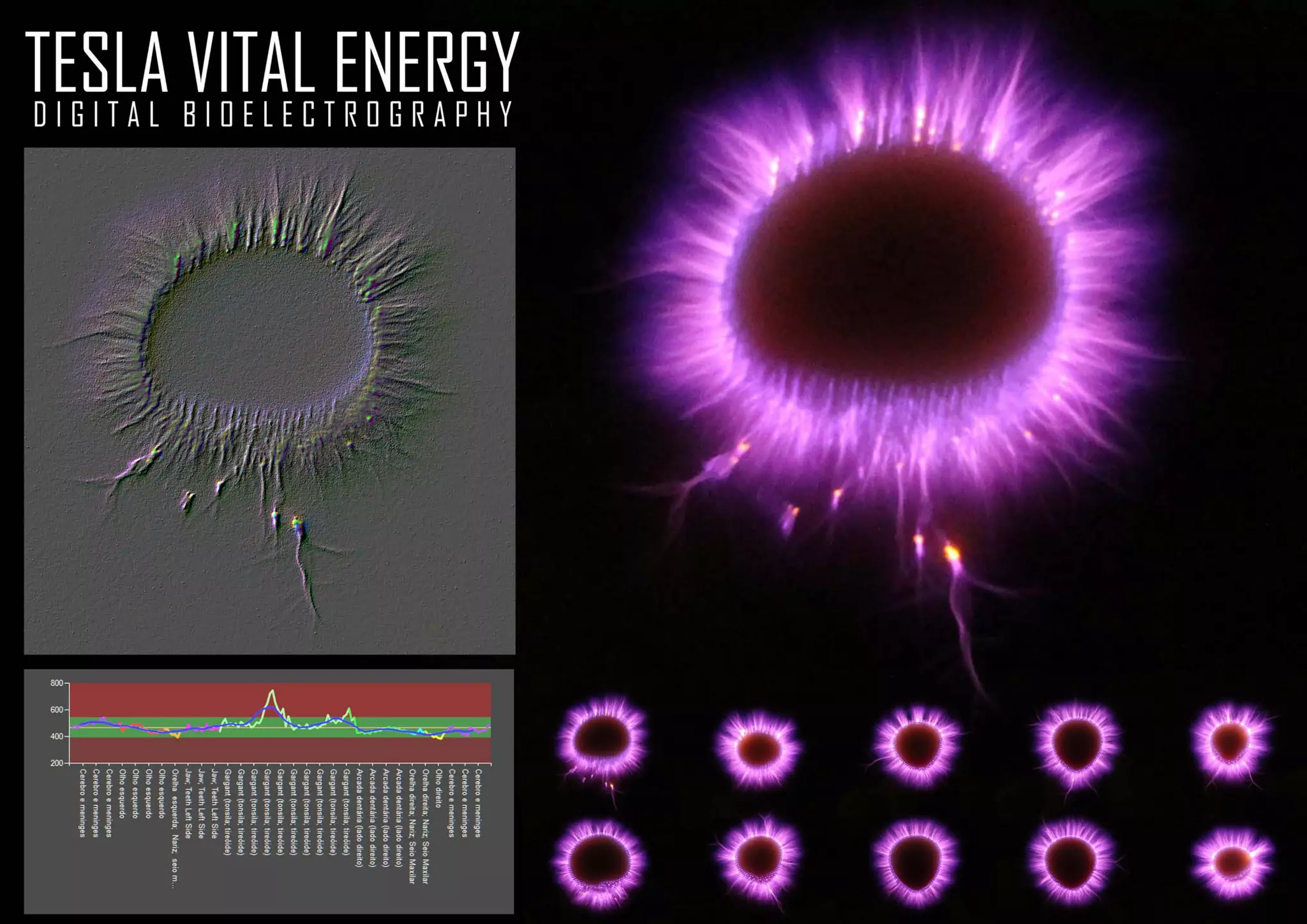 GDV TeslaBio Digital Bioelectrography | PDF | Physics | Science