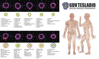 GDV TeslaBio Digital Bioelectrography | PDF | Physics | Science