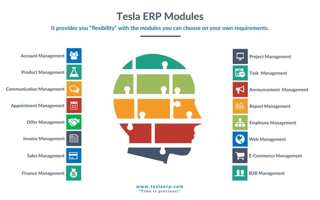 Tesla ERP - Introduction