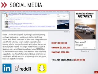 Tesla Model 3 Campaign | PDF
