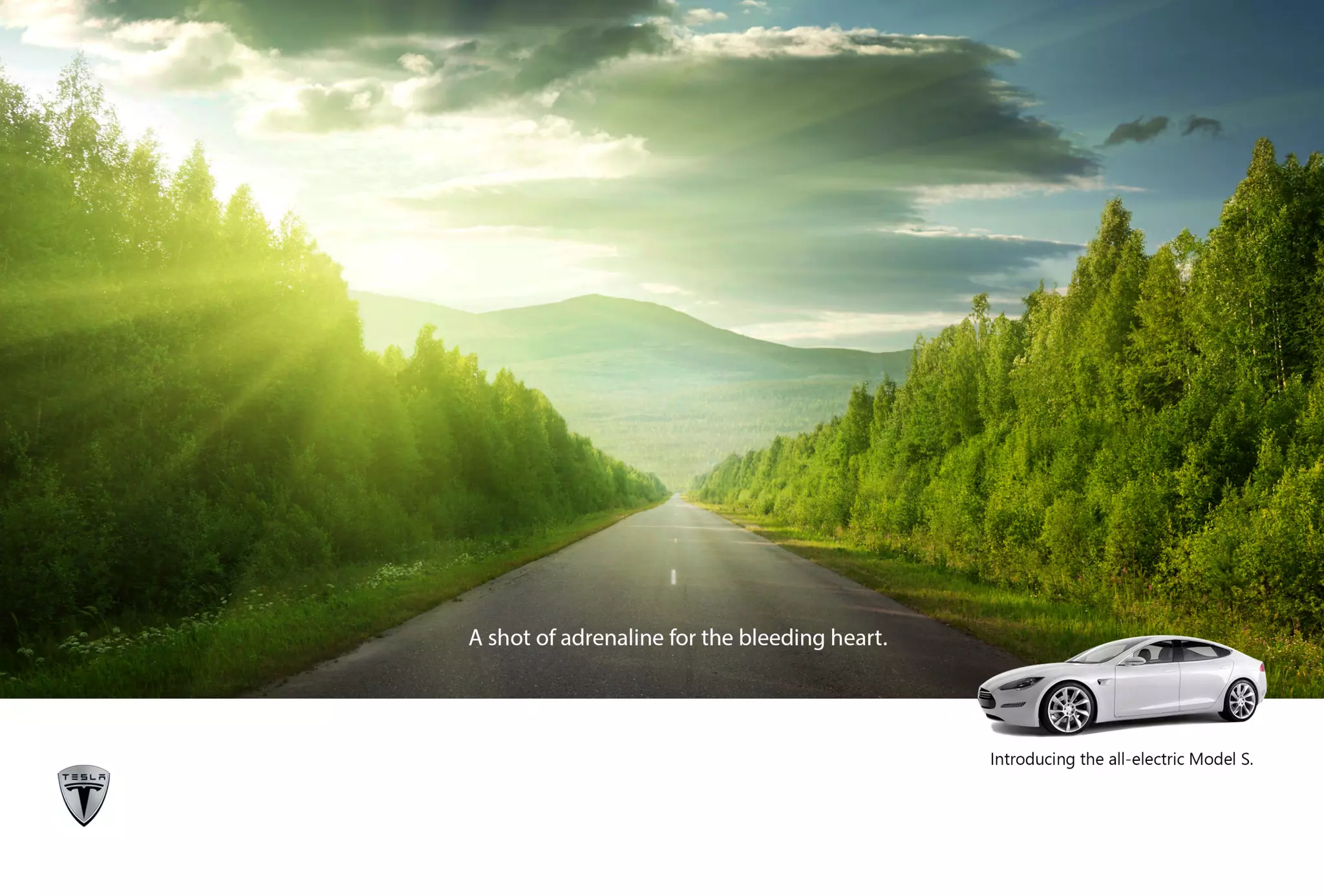 Tesla: Racing to Carbon Neutral | PDF