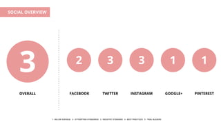 Tesla social media audit | PDF