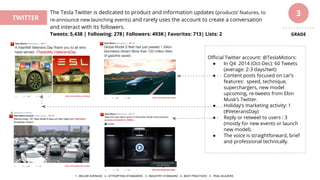 Tesla social media audit | PDF