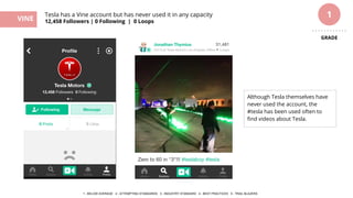 Tesla social media audit | PDF