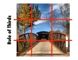 Say Cheese! Photography Projects for Learners