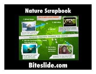 Say Cheese! Photography Projects for Learners | PPT