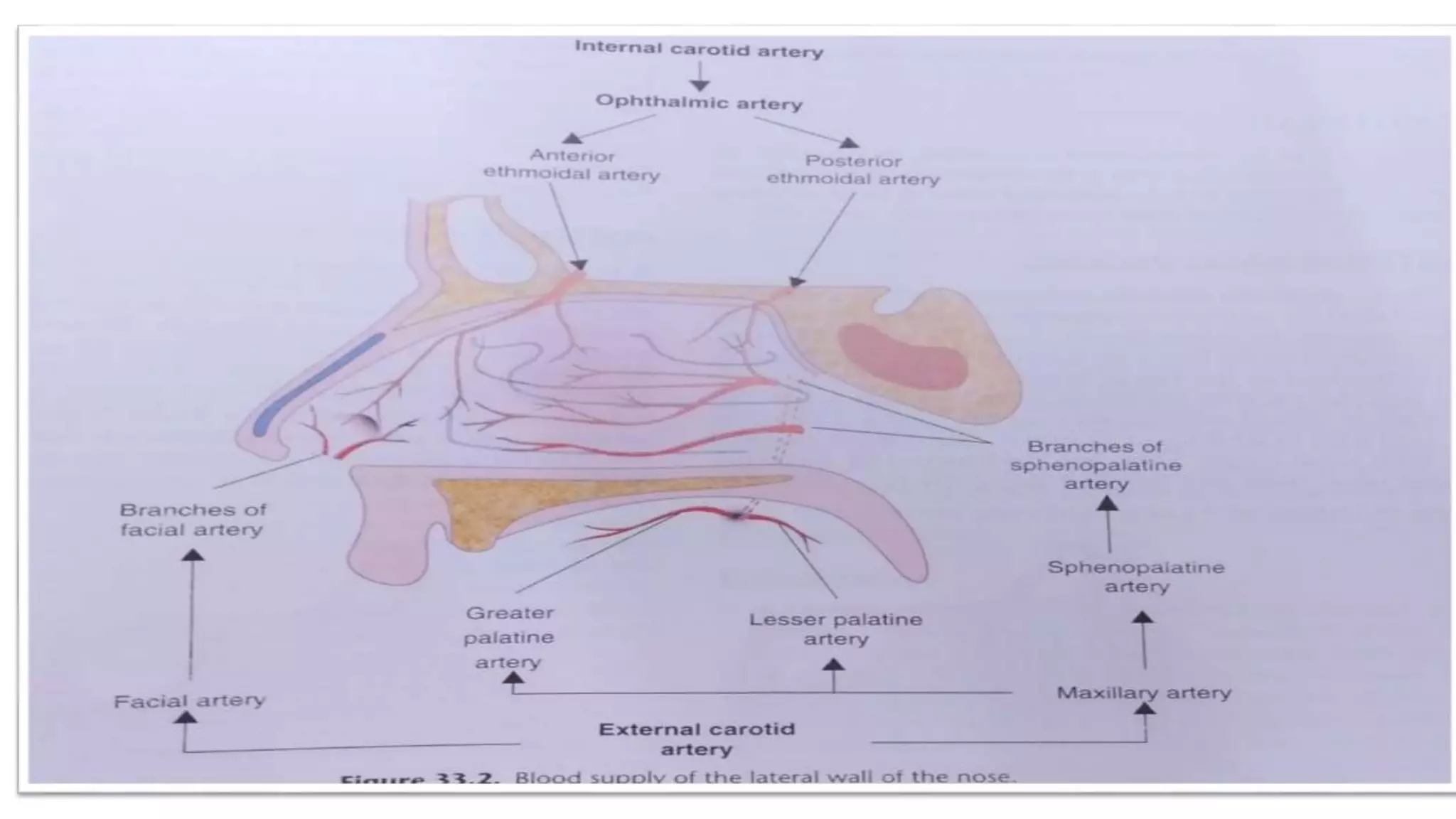 Tespal surgery | PPTX