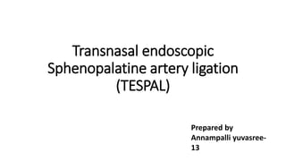 Sphenopalatine Artery Ligation