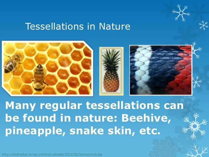 Nature tessellations - tatapipe
