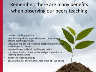 Peer Observation Tips for TESS | PPTX