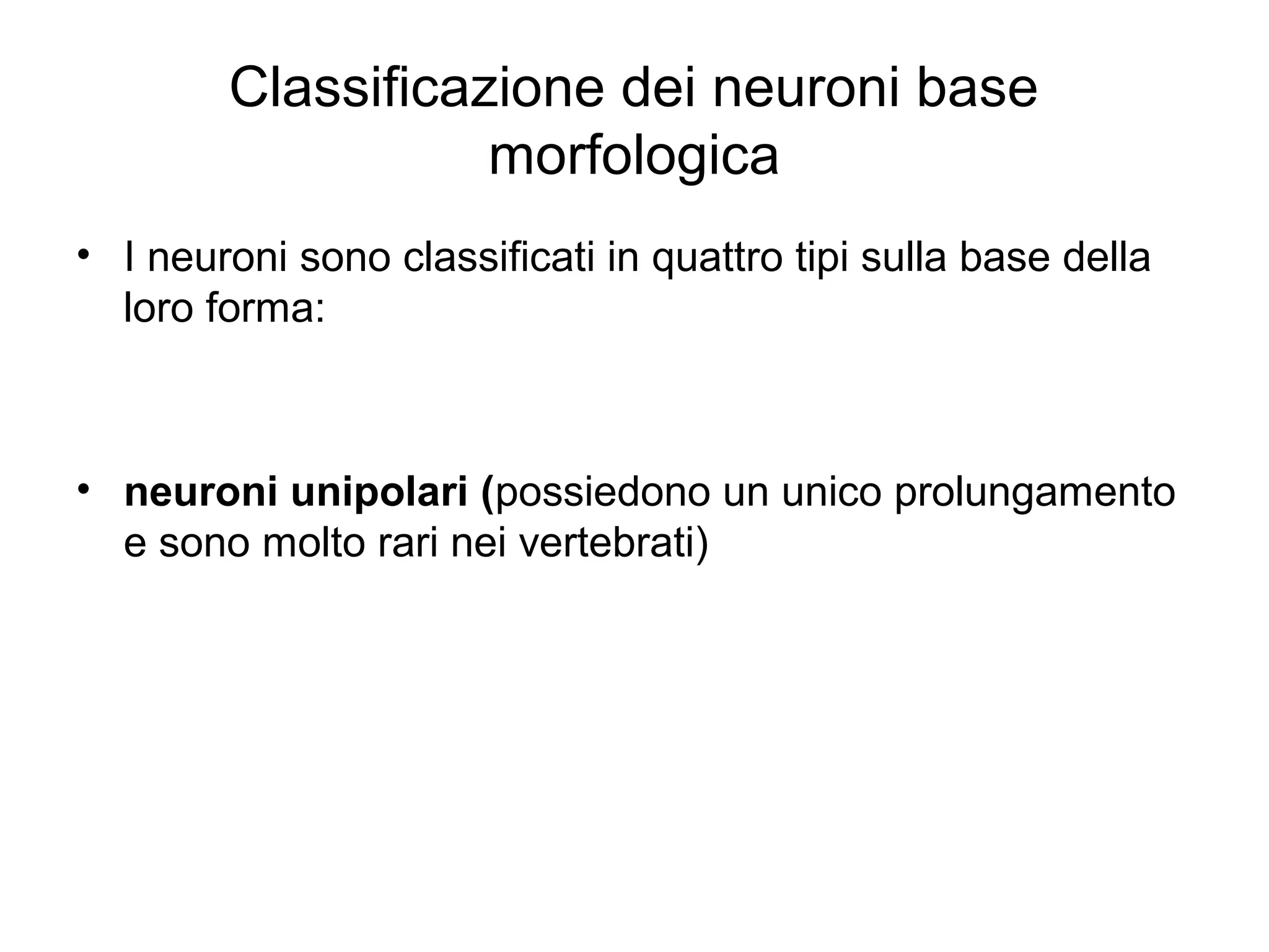 Tessuto nervoso | PPT