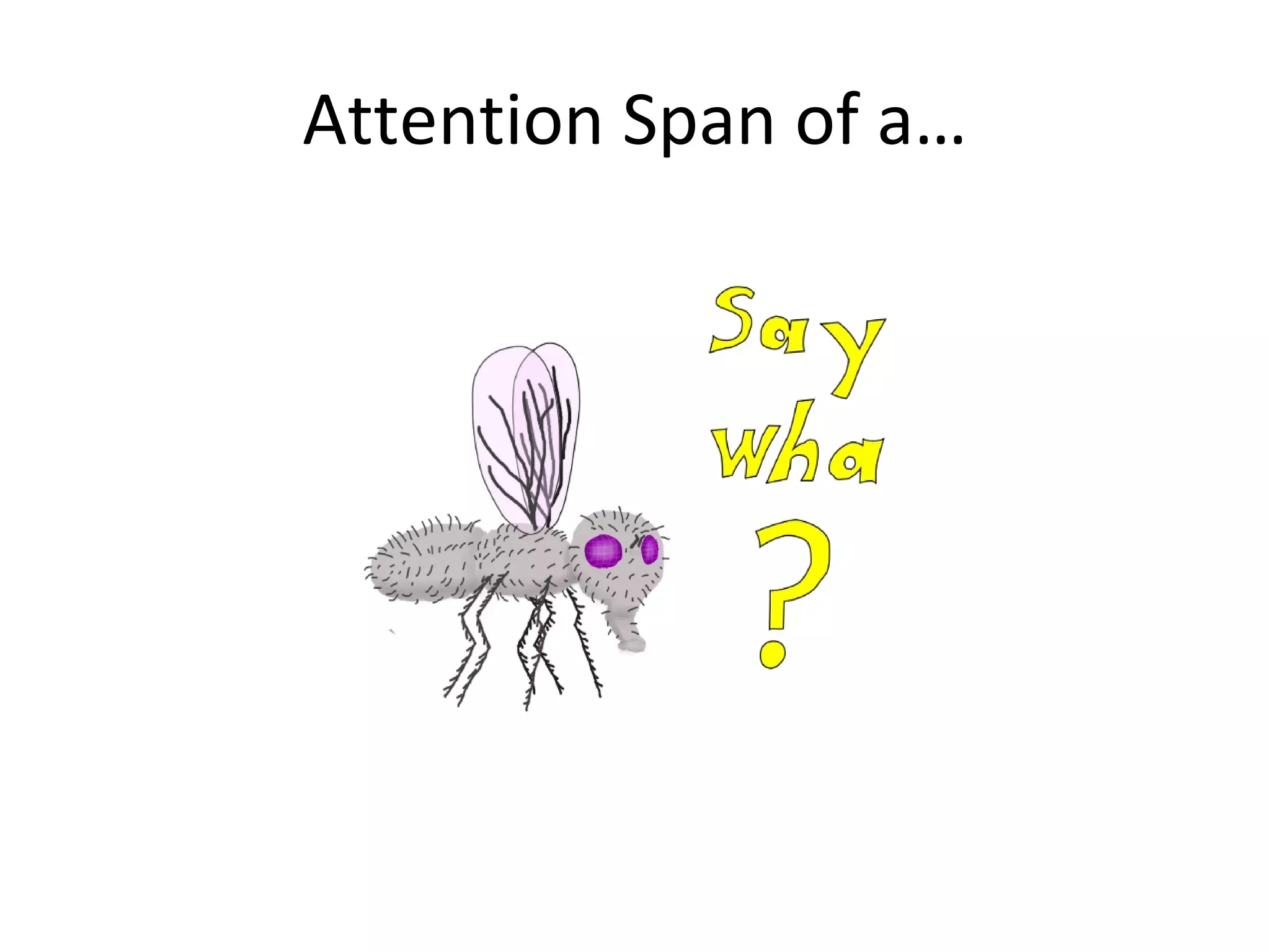 Test Driven Development Ppt