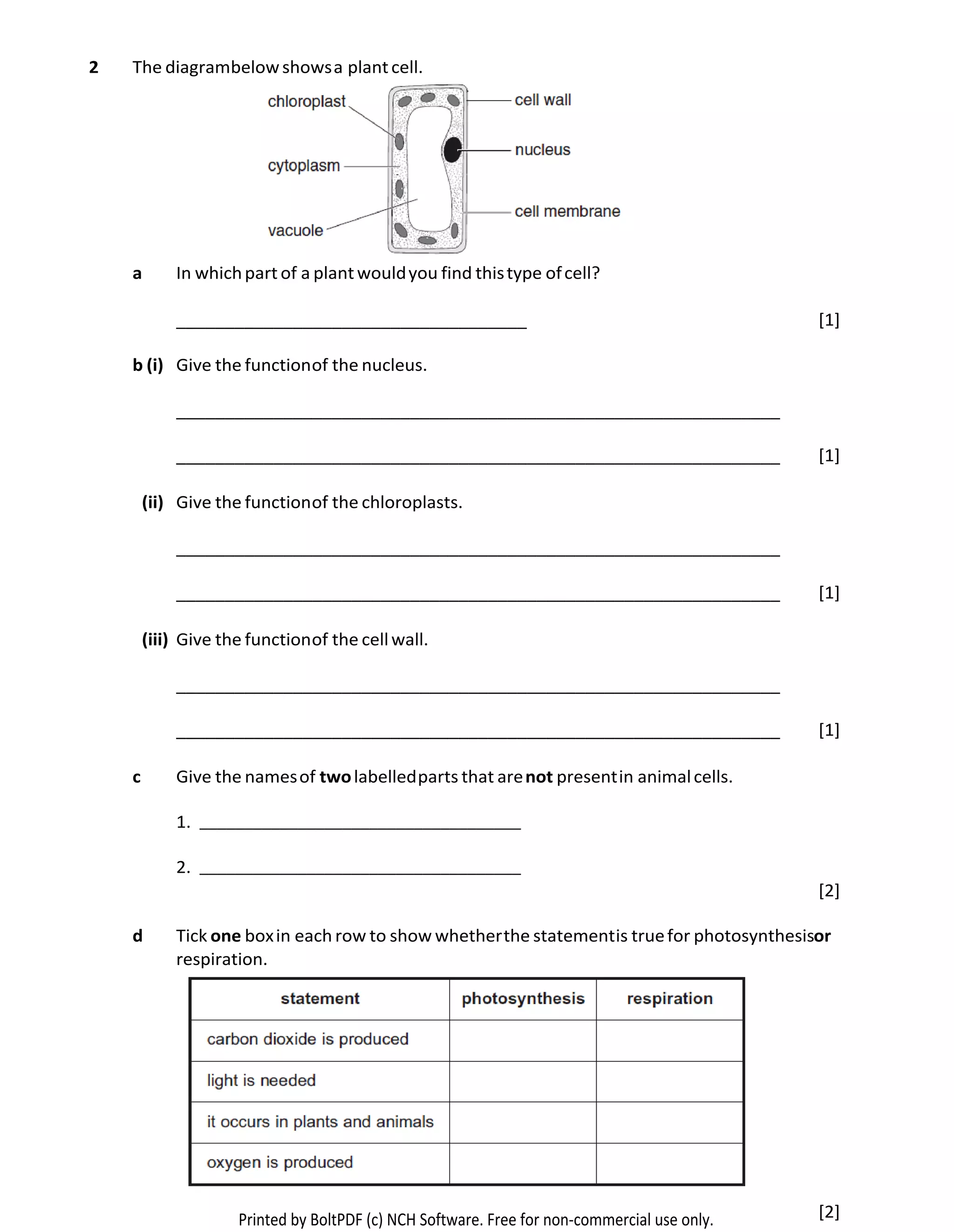 Test photosynthesis | PDF