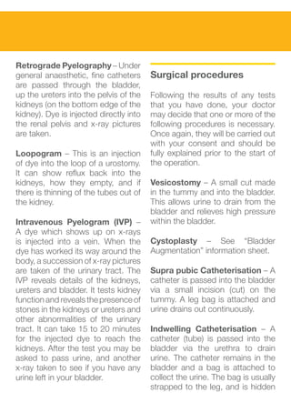 Test procedures urinary system | PDF