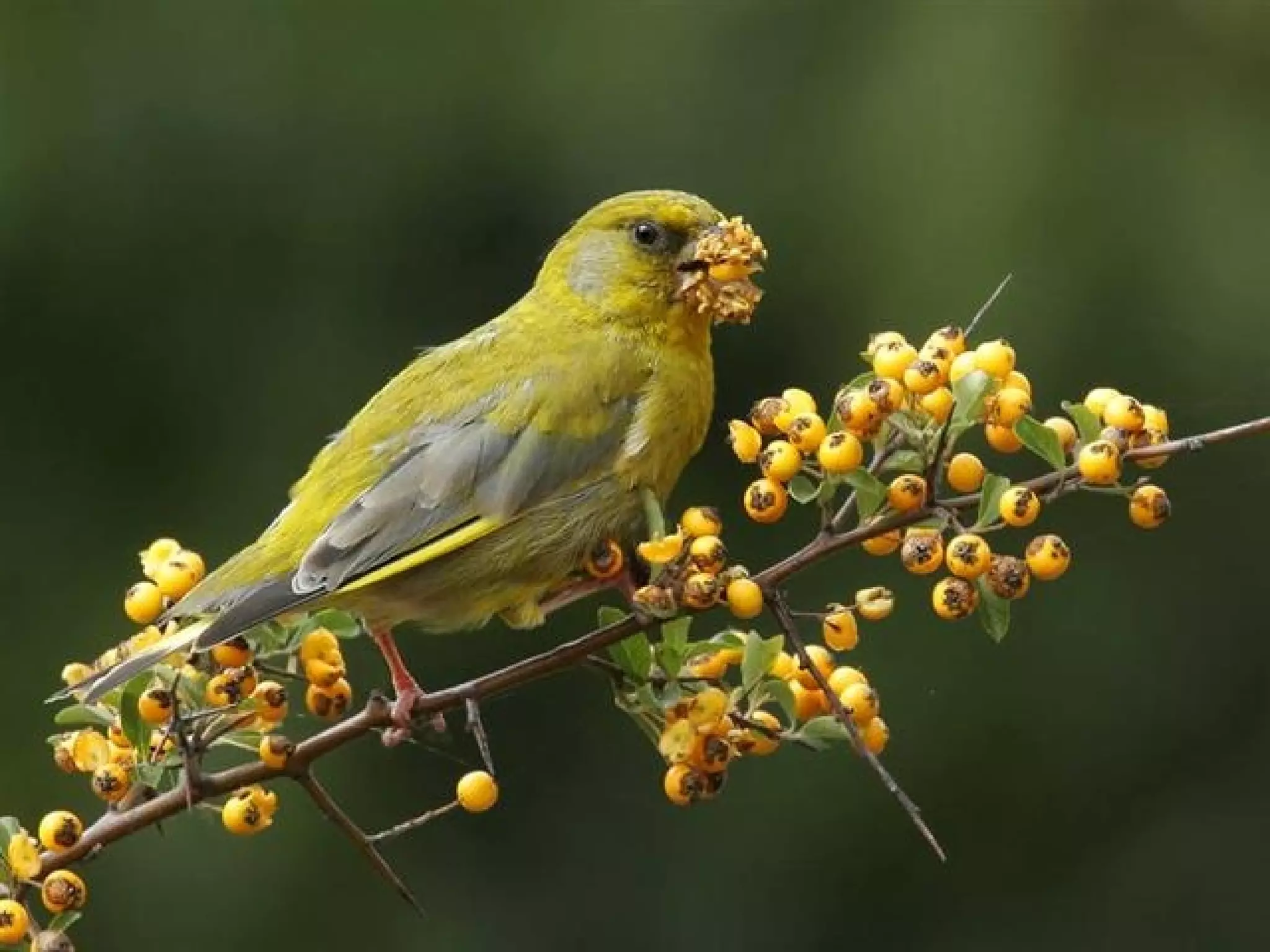 Test Slide Ppt | PPT