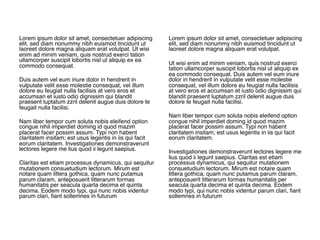 Test text-on-slide | PPT