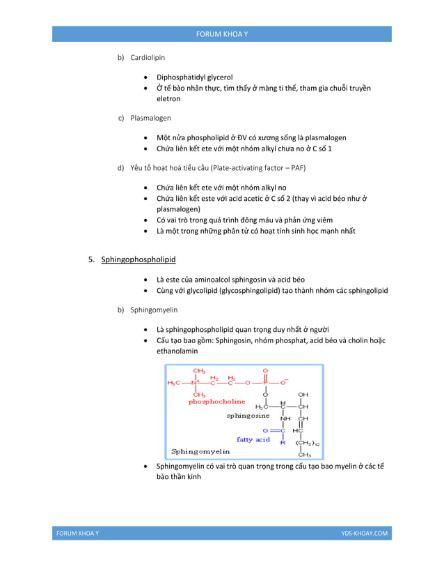hoa sinh lipid | PDF