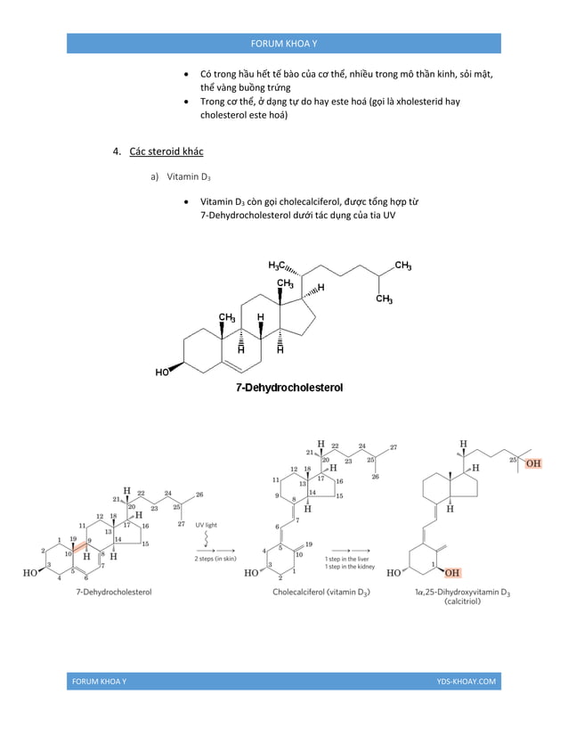 hoa sinh lipid | PDF