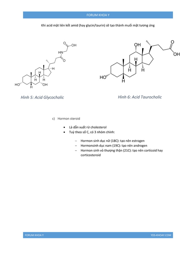 hoa sinh lipid | PDF
