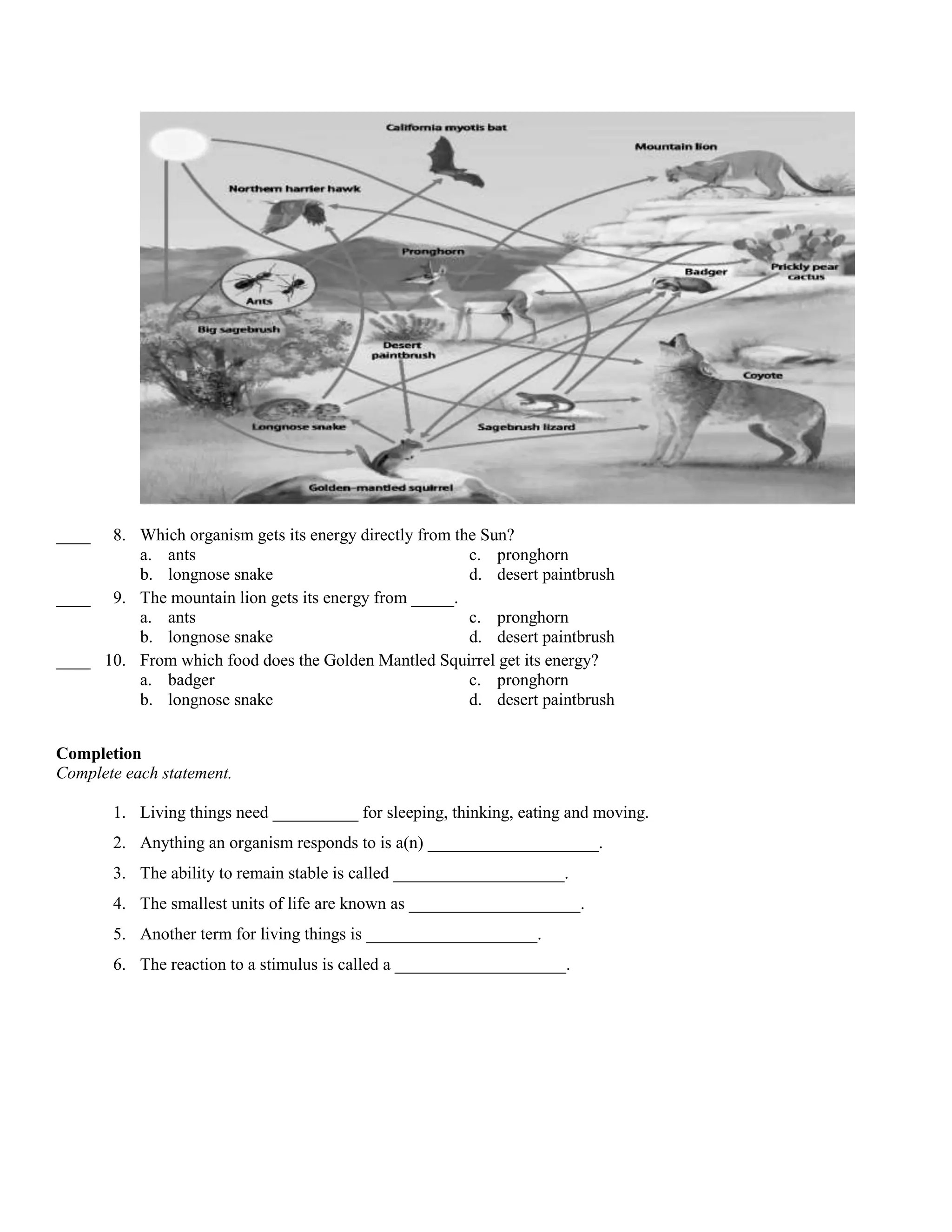test 1-1 Characteristics of Life Practice.doc
