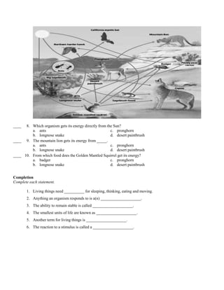 test 1-1 Characteristics of Life Practice.doc