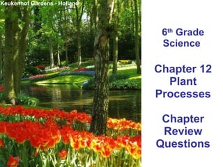 Test 12 review questions | PPT