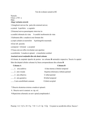 test_7_nou.doc