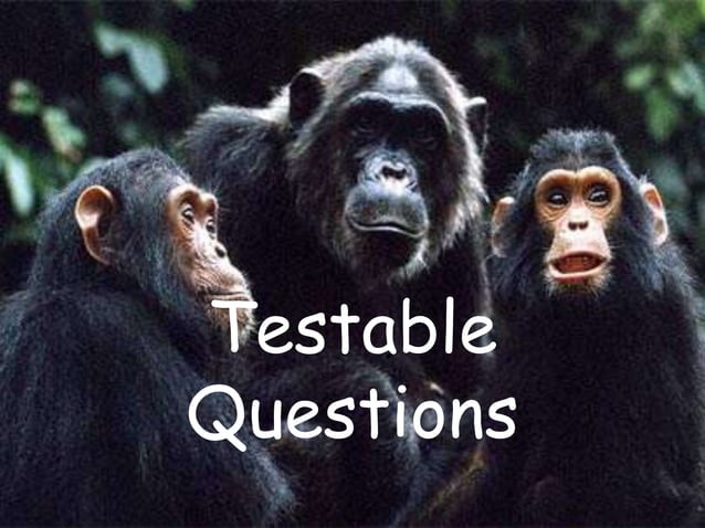 Testable Questions | PPT