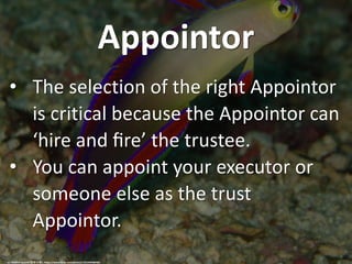 Testamentary trusts in Australia | PDF