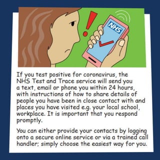 Test and trace cartoon | PDF
