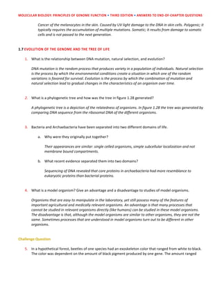 Question Bank for Molecular Biology 3rd Edition by Craig & Green | PDF