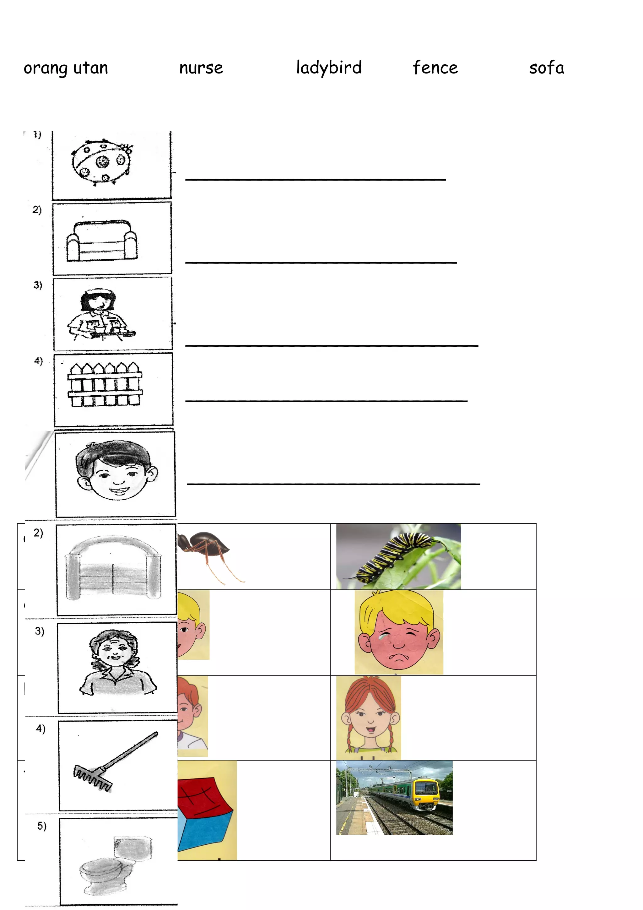 Test bi year 5 | DOC