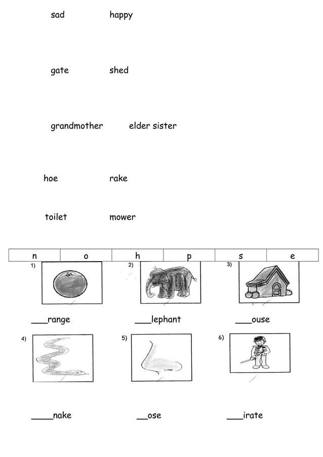 Test bi year 5 | DOC